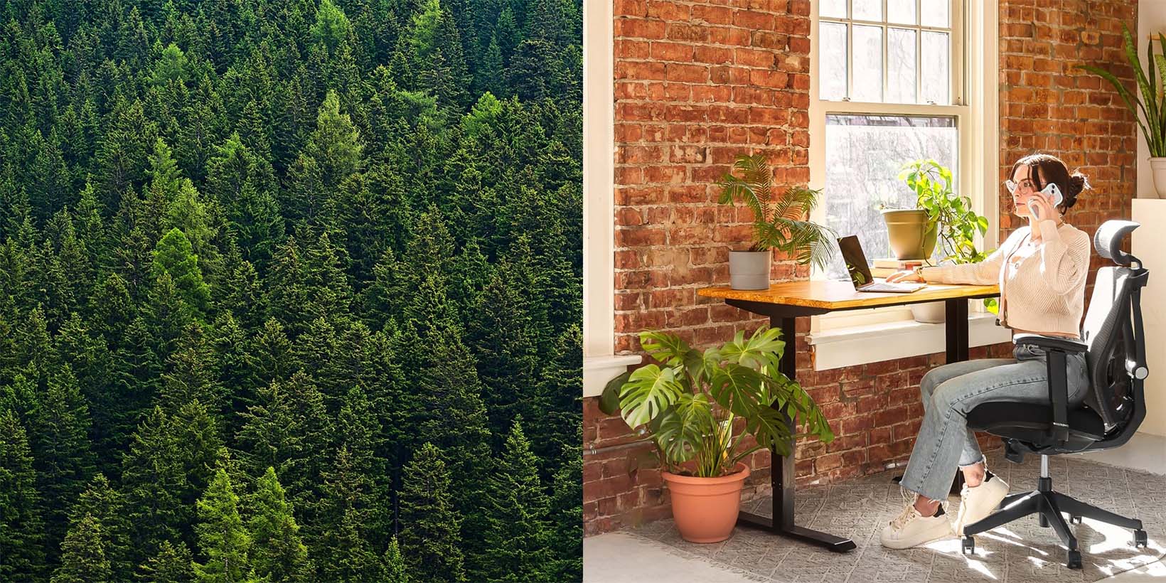EFFYDESK: The Best Standing Desks & Office Furniture in Canada