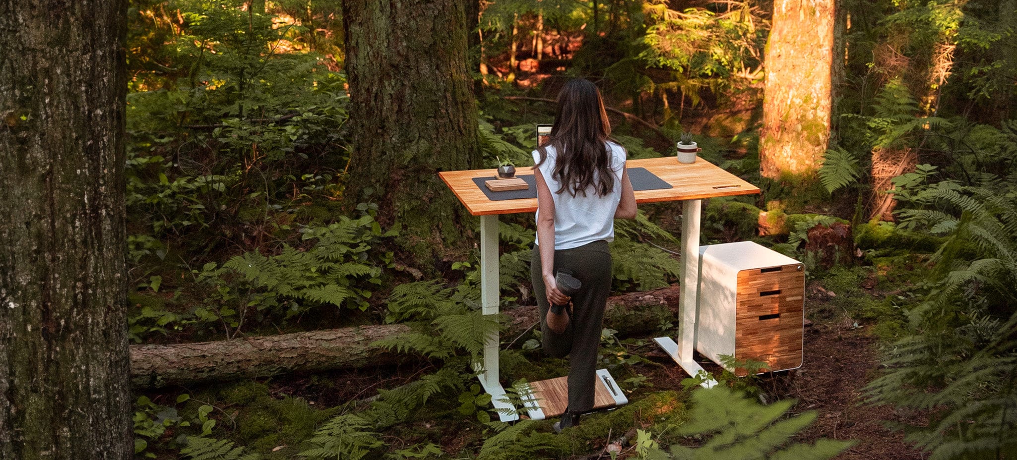 Ergonomic Adjustable Standing Desks - EFFYDESK