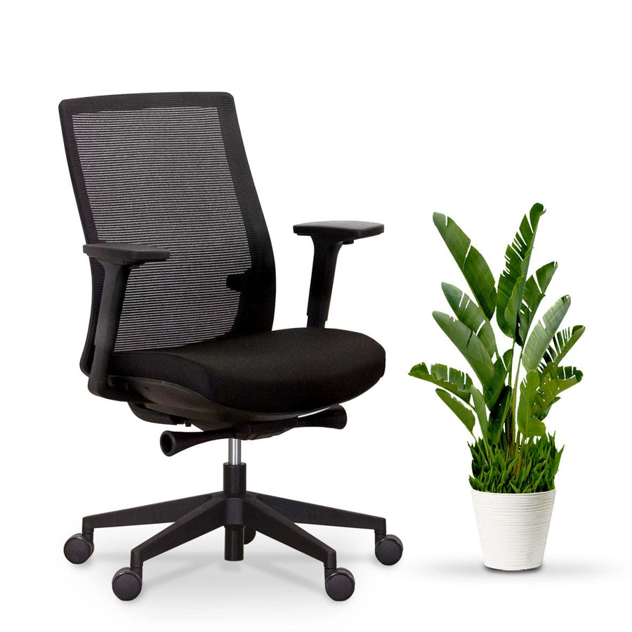 EFFYDESK: Ergonomic Standing Desks Canada