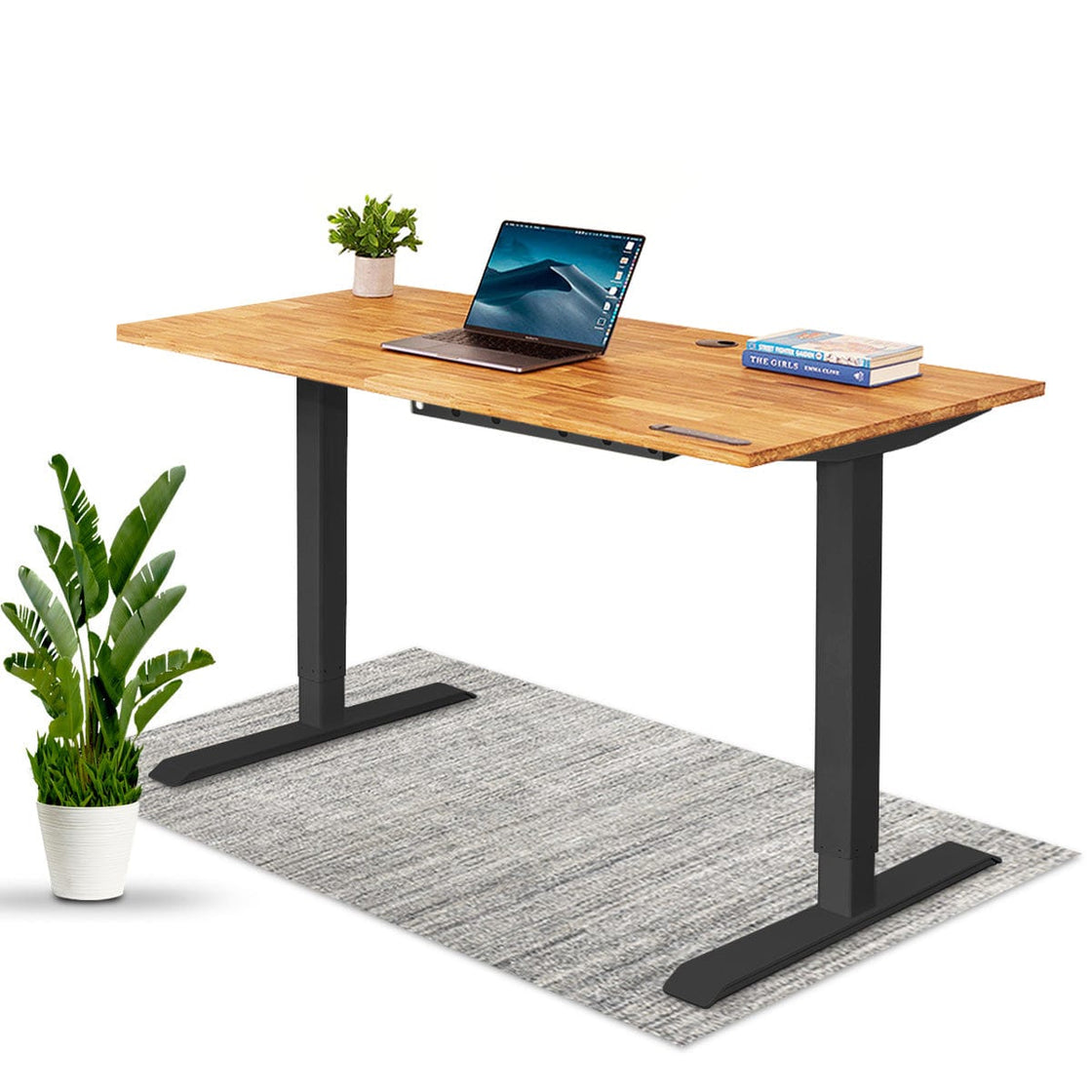EFFYDESK: Ergonomic Standing Desks Canada